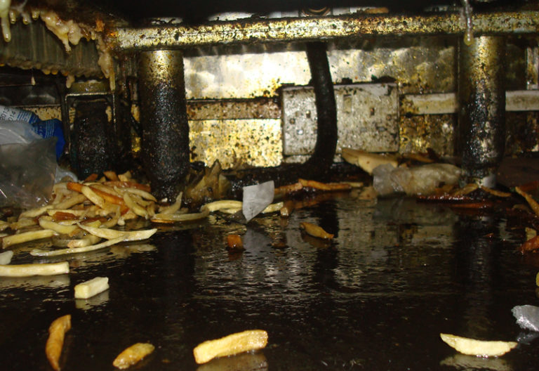 Kitchen ban and suspended jail sentence for pub hygiene pair