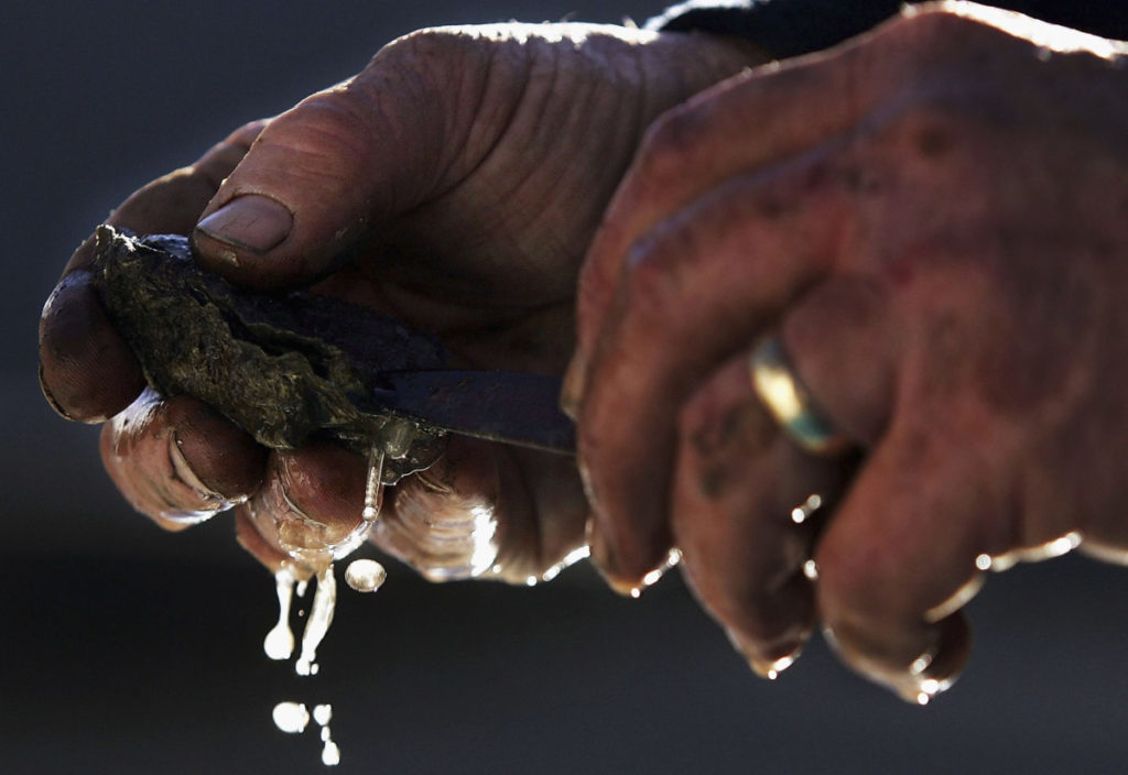 TV chefs turn viewers into dirty cooks with bad kitchen habits