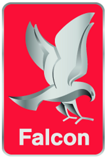 EXCLUSIVE: Rebranded Falcon spreads its wings and looks to the future