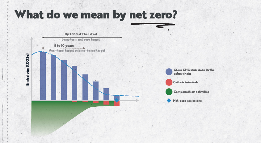 The inside story of the Zero Carbon Forum and how it plans to change ...