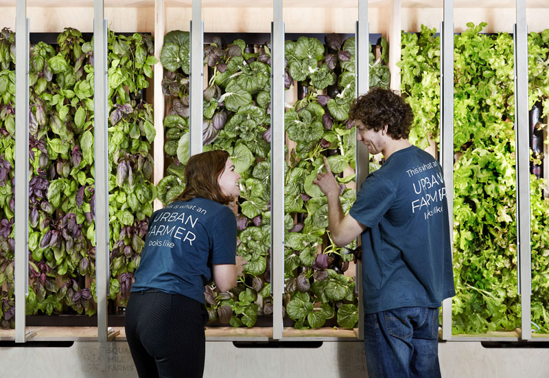 Compass adds innovative vertical farm to HQ
