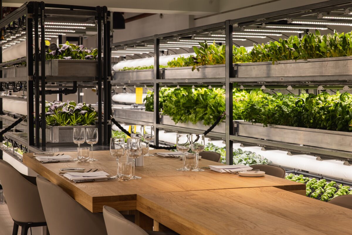 Good Eating Company to open restaurant with London's largest hydroponic ...